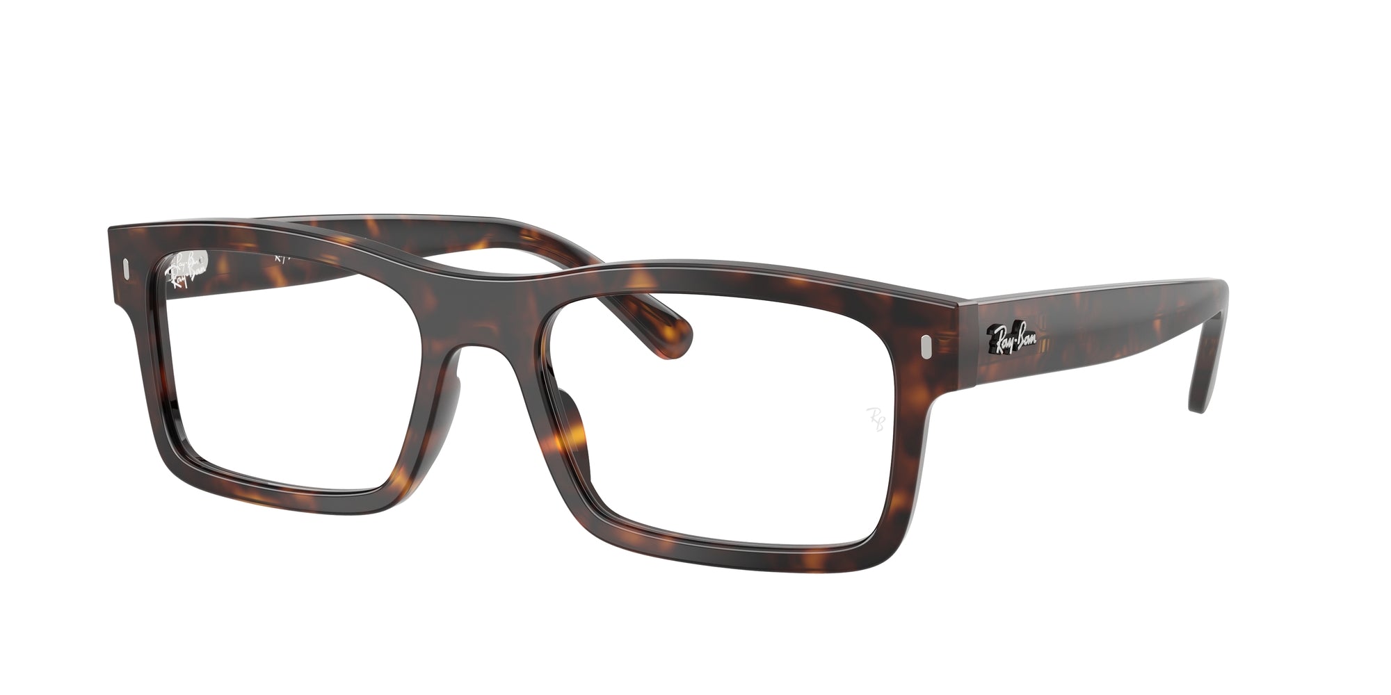 Vista frames Ray - Ban RX5435 2012 80562626229893 Square color Turtle ...