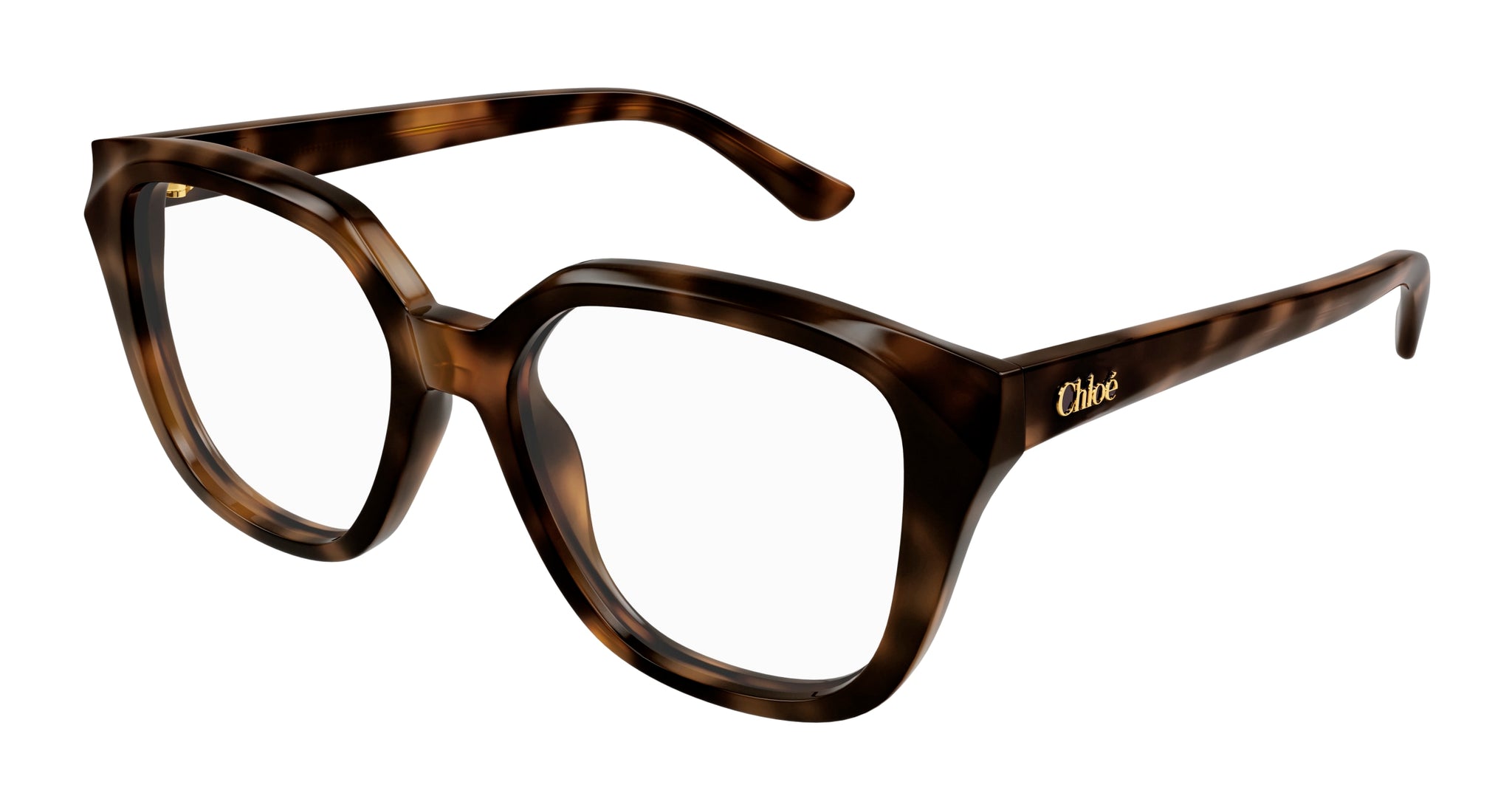 Vista frames Chloé CH0293O 002 889652543789 Havana frame color: buy ...