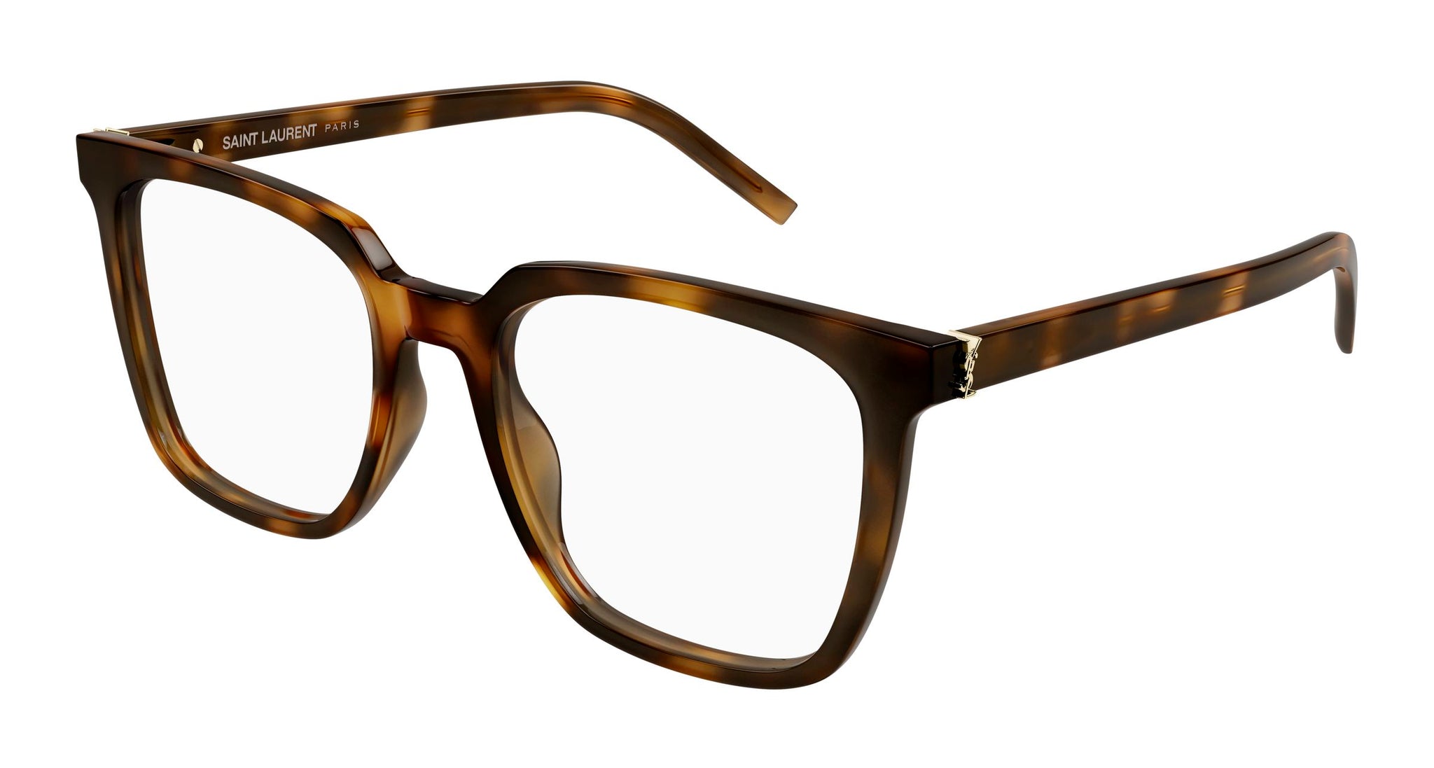 Vista frames SAINT LAURENT SL M146 OPT 003 889652556338 Havana frame ...